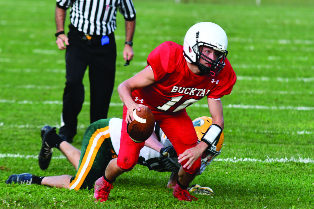 Bucktail Bucks drop to 1-2 after 34-14 Wednesday loss to Nativity BVM ...